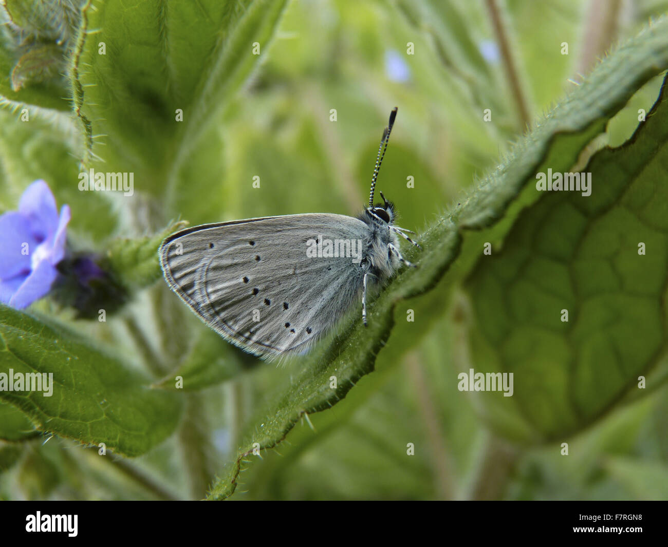 Down underside hi-res stock photography and images - Alamy
