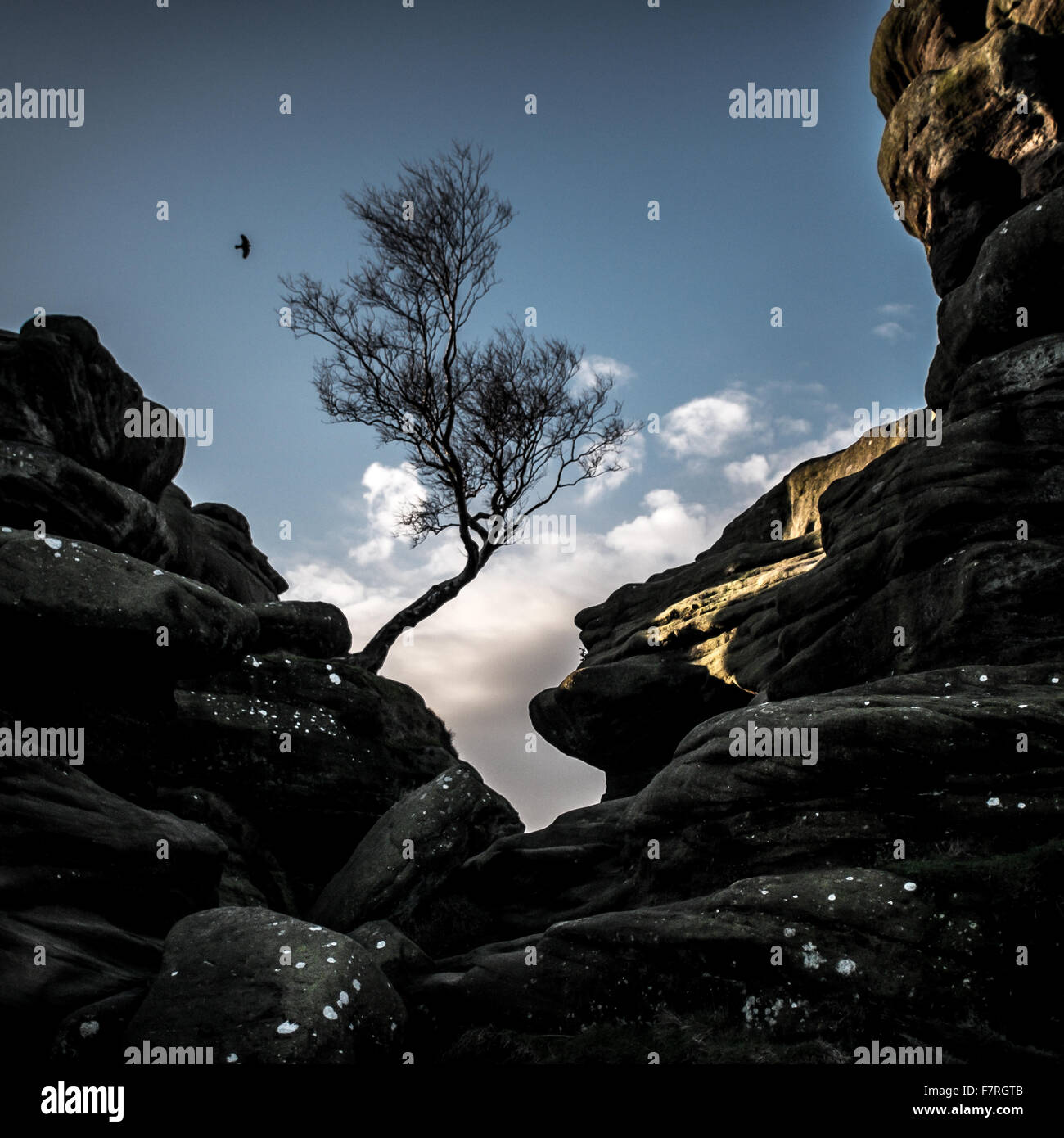 Sunrise Breaks Over Brimham Rocks in the Yorkshire Dales Stock Photo ...