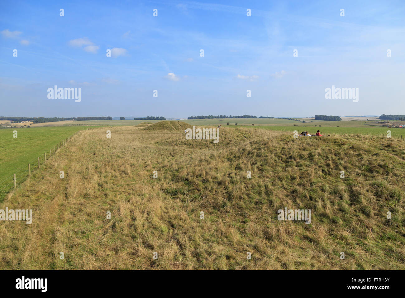 The Cursus Barrows in the Stonehenge Landscape, Wiltshire. The ...