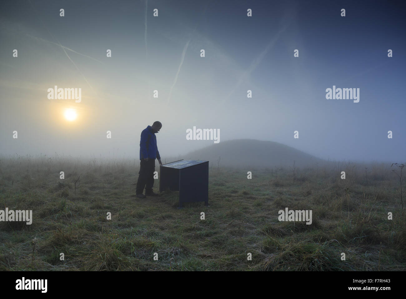 The Cursus Barrows in the Stonehenge Landscape, Wiltshire. The ...