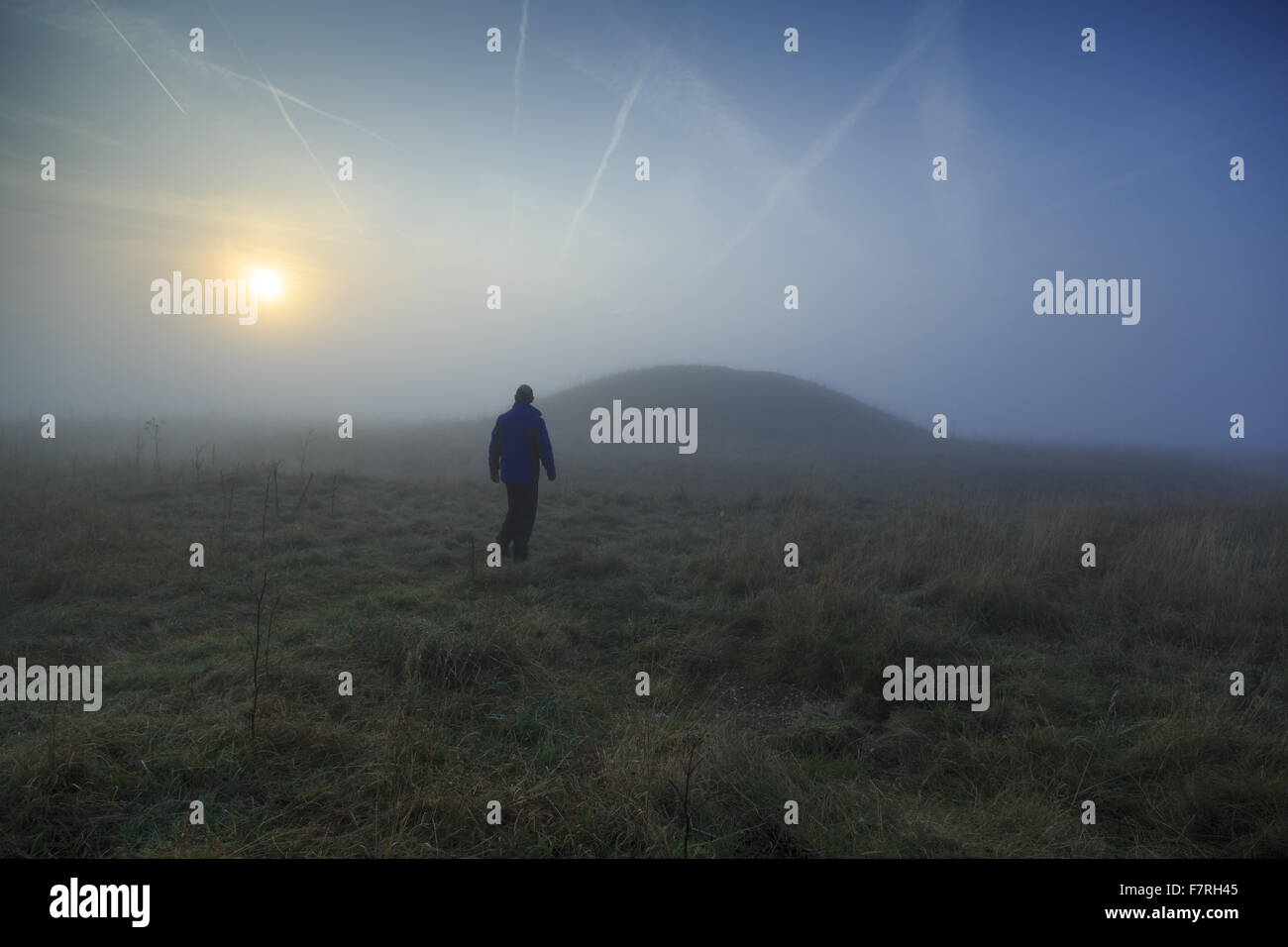 The Cursus Barrows in the Stonehenge Landscape, Wiltshire. The ...