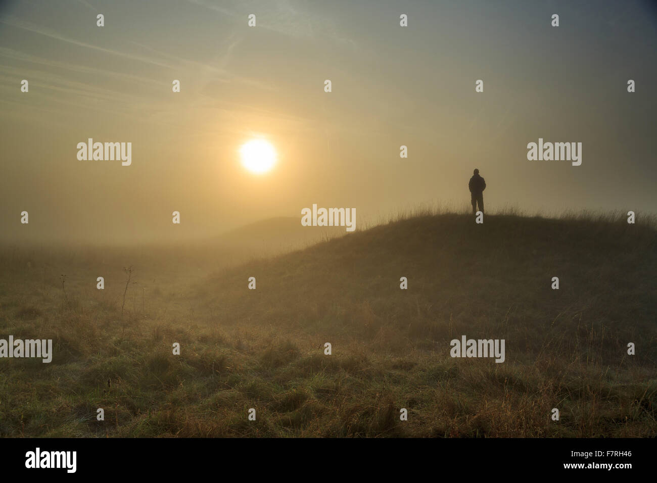 The Cursus Barrows in the Stonehenge Landscape, Wiltshire. The ...