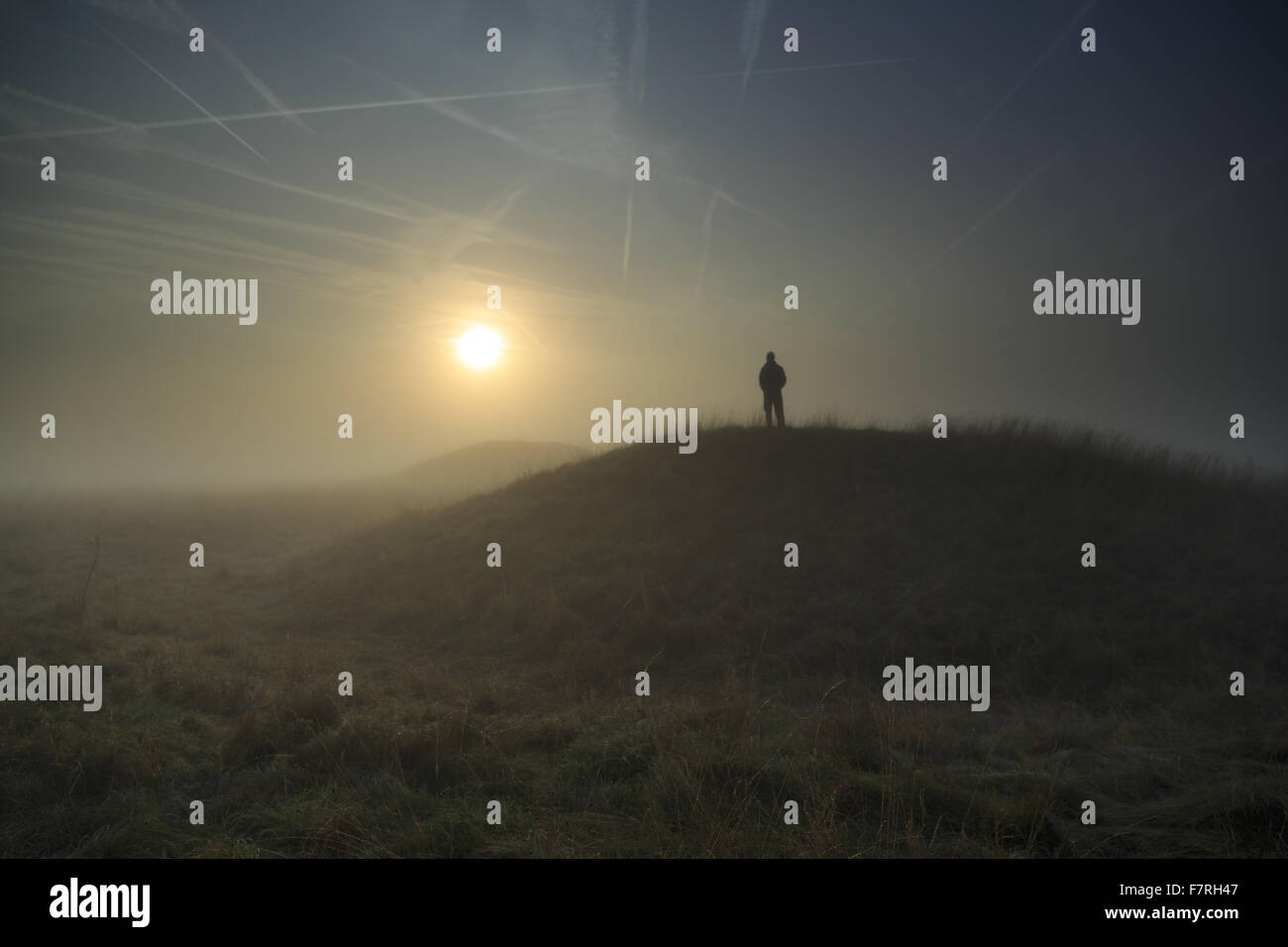 The Cursus Barrows in the Stonehenge Landscape, Wiltshire. The ...