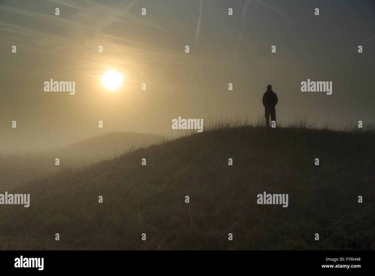 The Cursus Barrows in the Stonehenge Landscape, Wiltshire. The ...