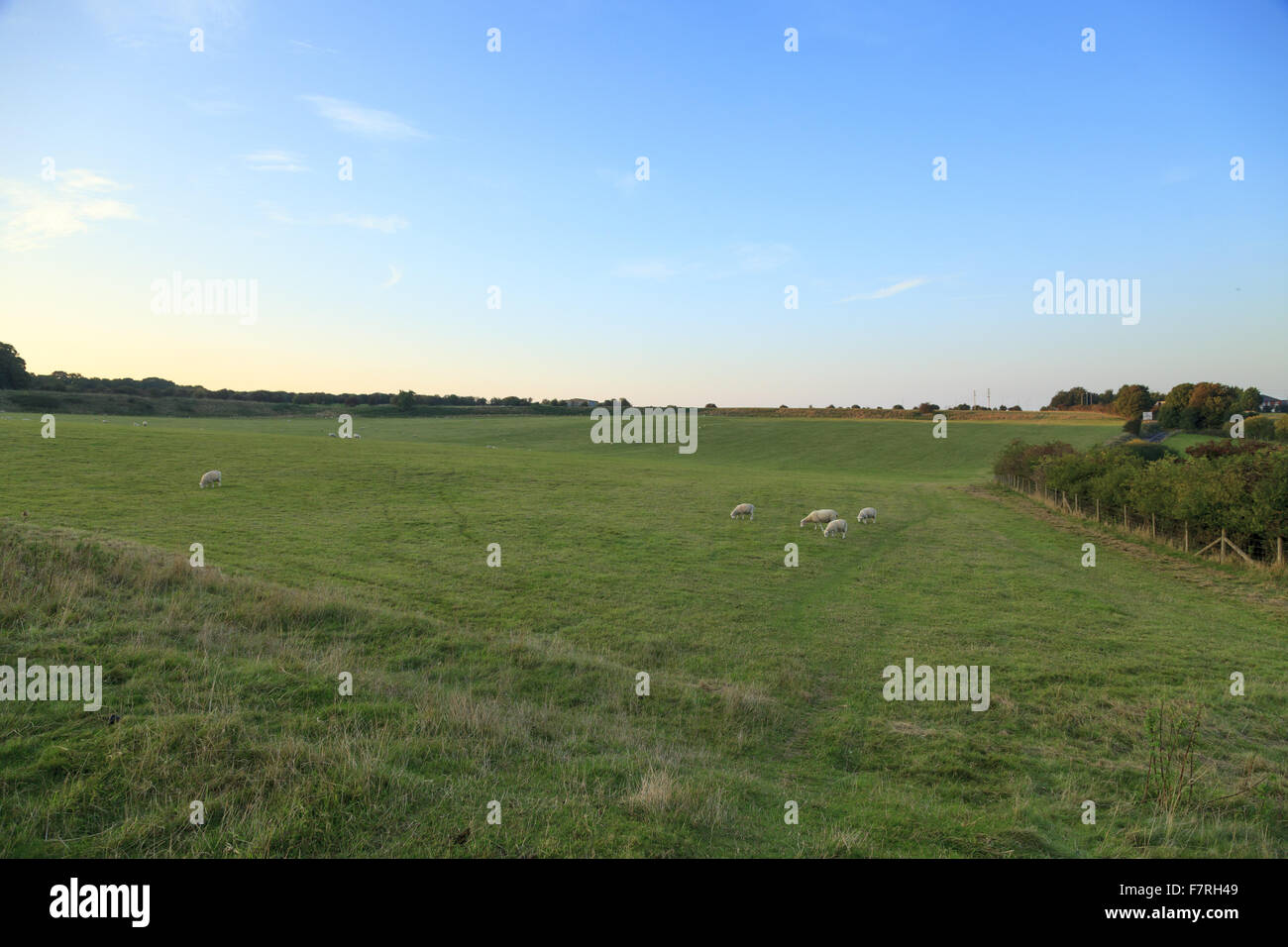 Durrington hi-res stock photography and images - Alamy