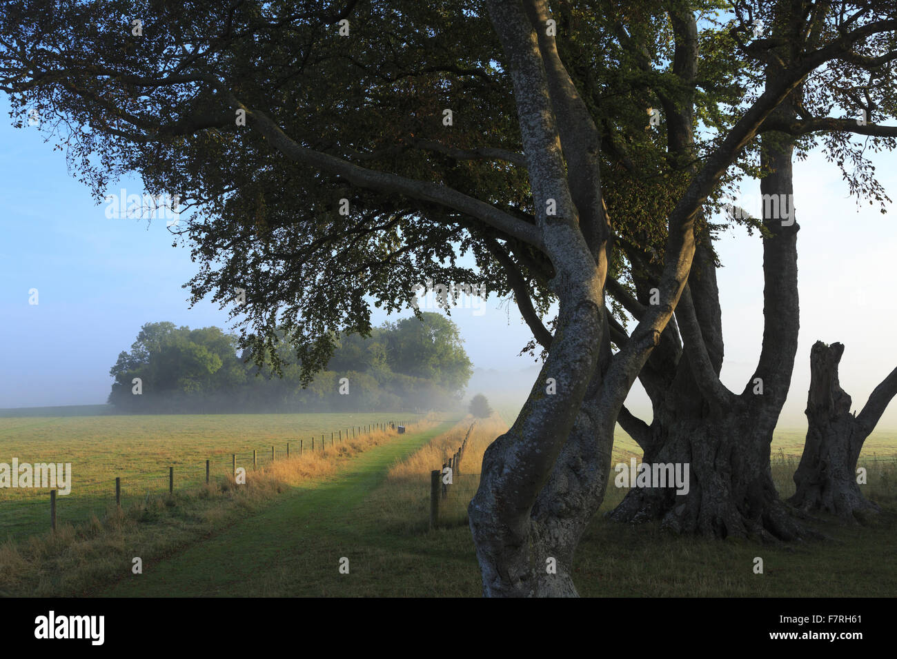 The New King Barrows at the Stonehenge Landscape, Wiltshire. The ...