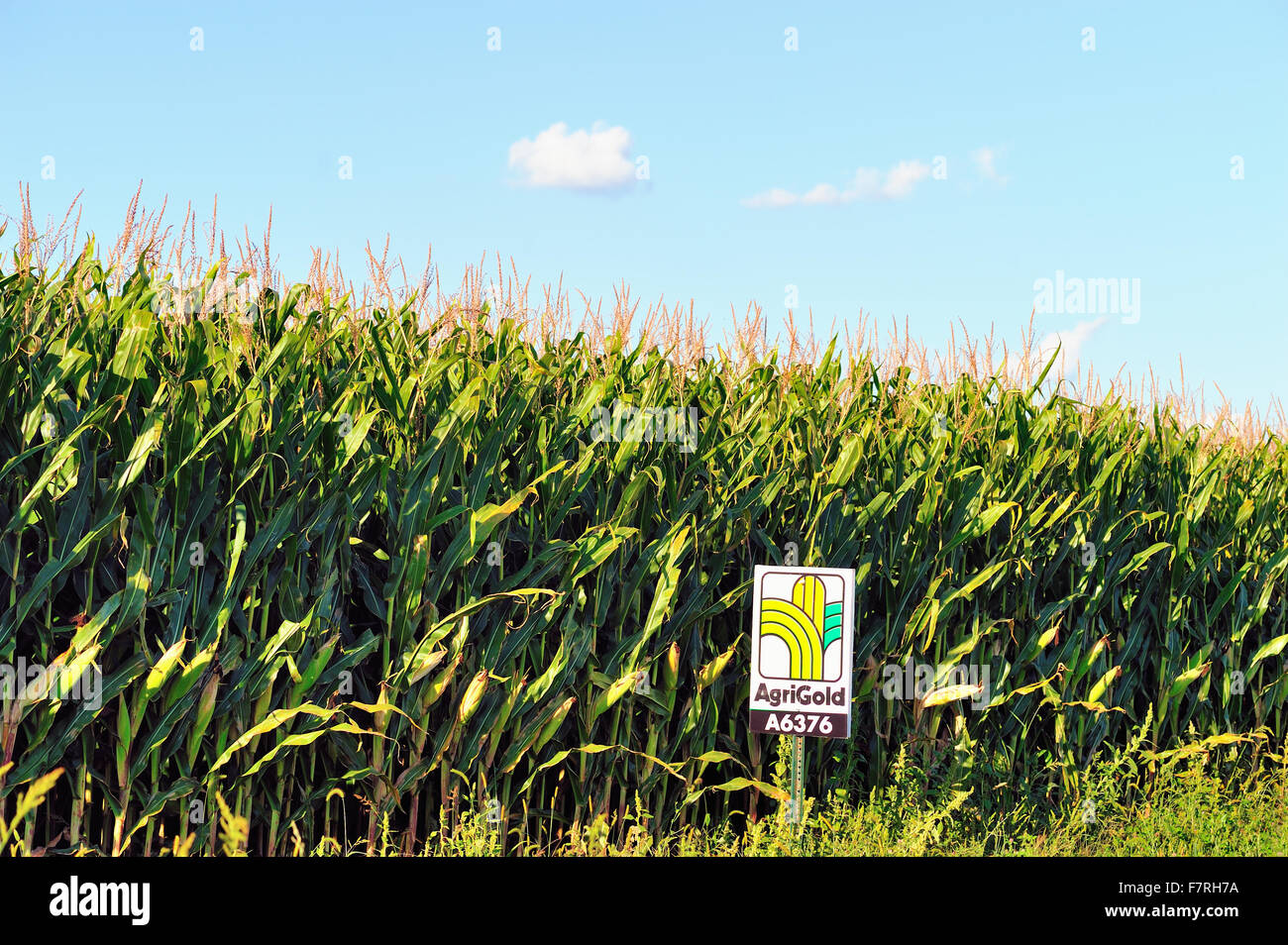 Sign corn field hi-res stock photography and images - Alamy