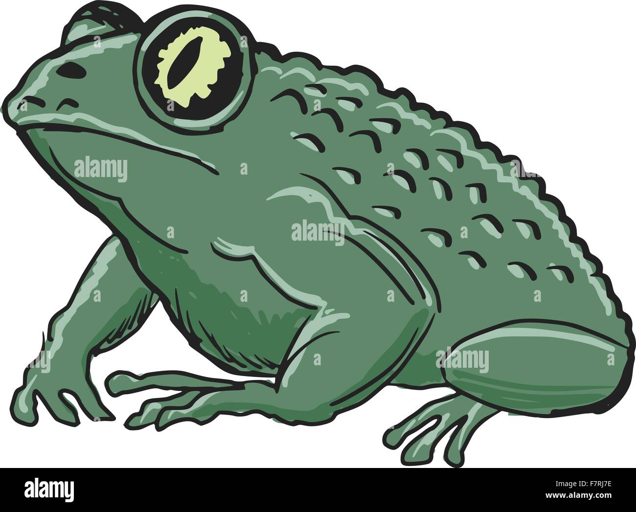 Skin green Stock Vector Images - Alamy