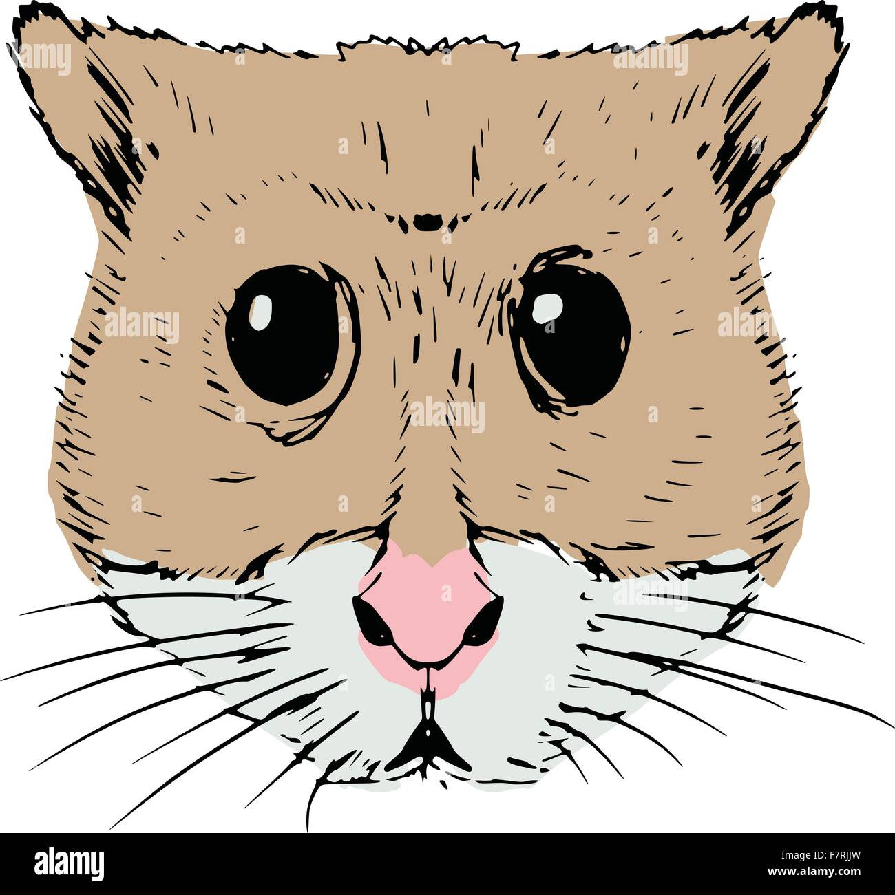 The hamster Stock Vector Images - Alamy
