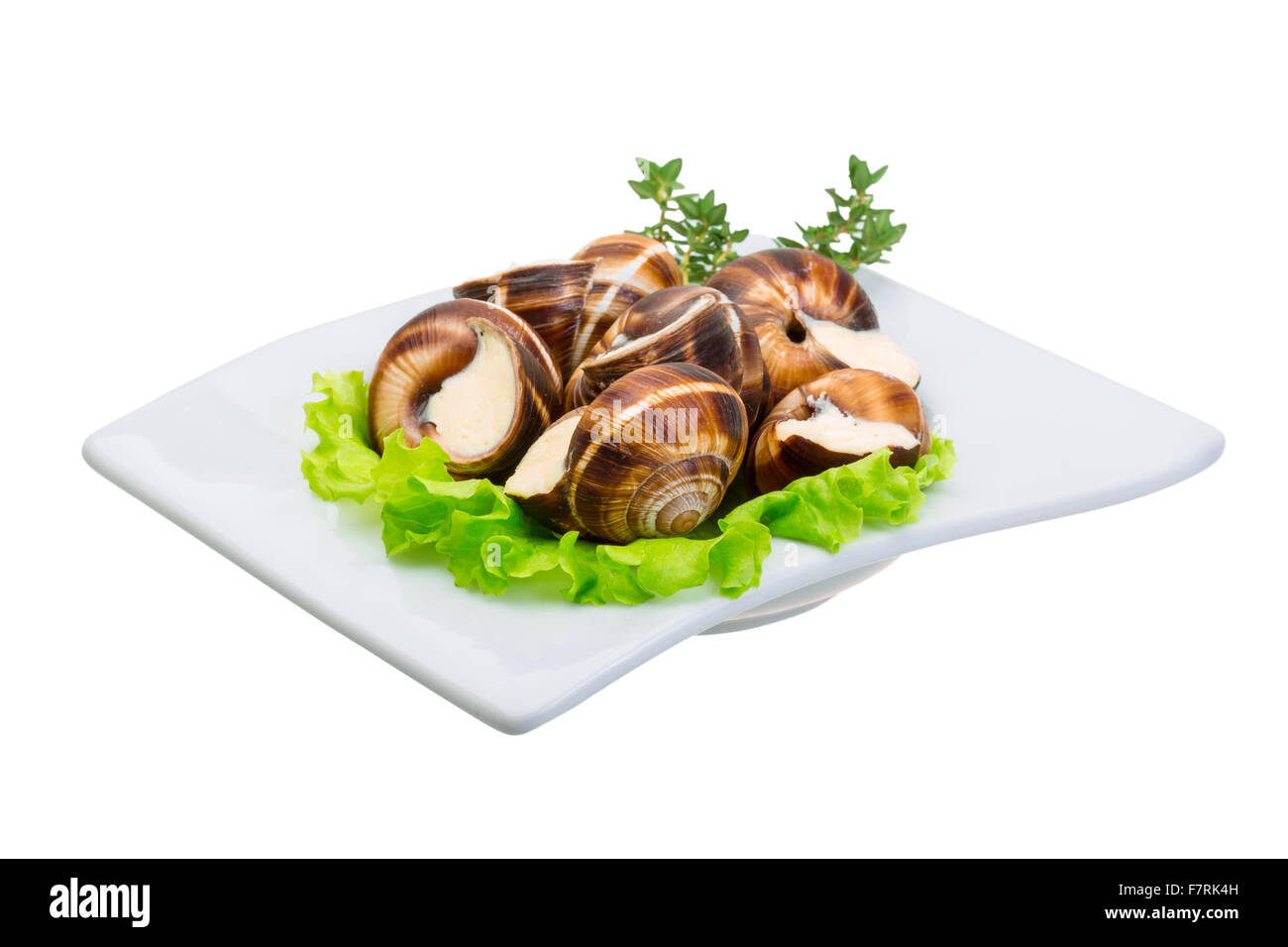 Escargot with cheese sauce Stock Photo - Alamy