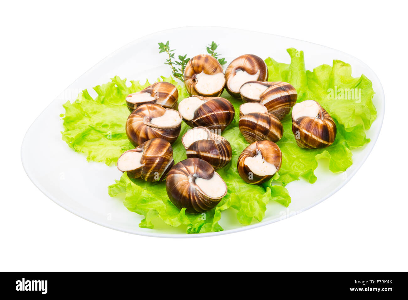 Escargot with cheese sauce Stock Photo - Alamy