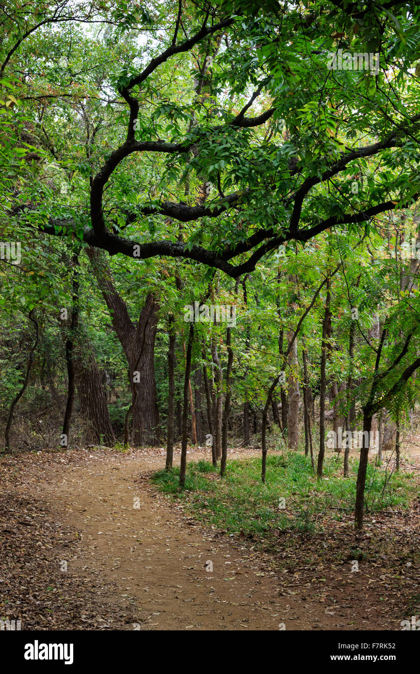 A winding walking trail in Oklahoma City's Martin Park Nature Center ...