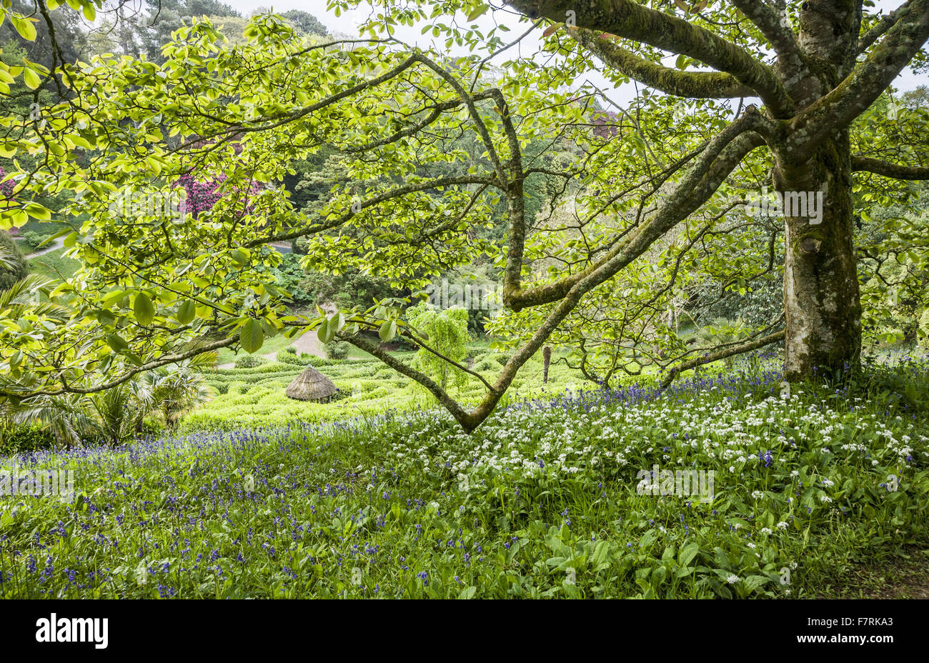 Sarah branch hi-res stock photography and images - Alamy