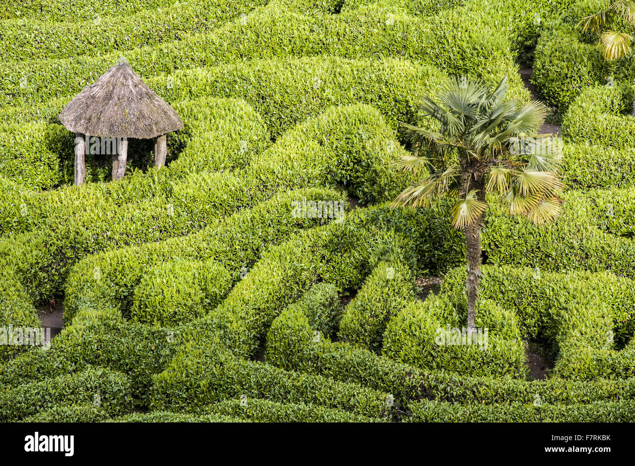Maze glendurgan gardens hi-res stock photography and images - Alamy