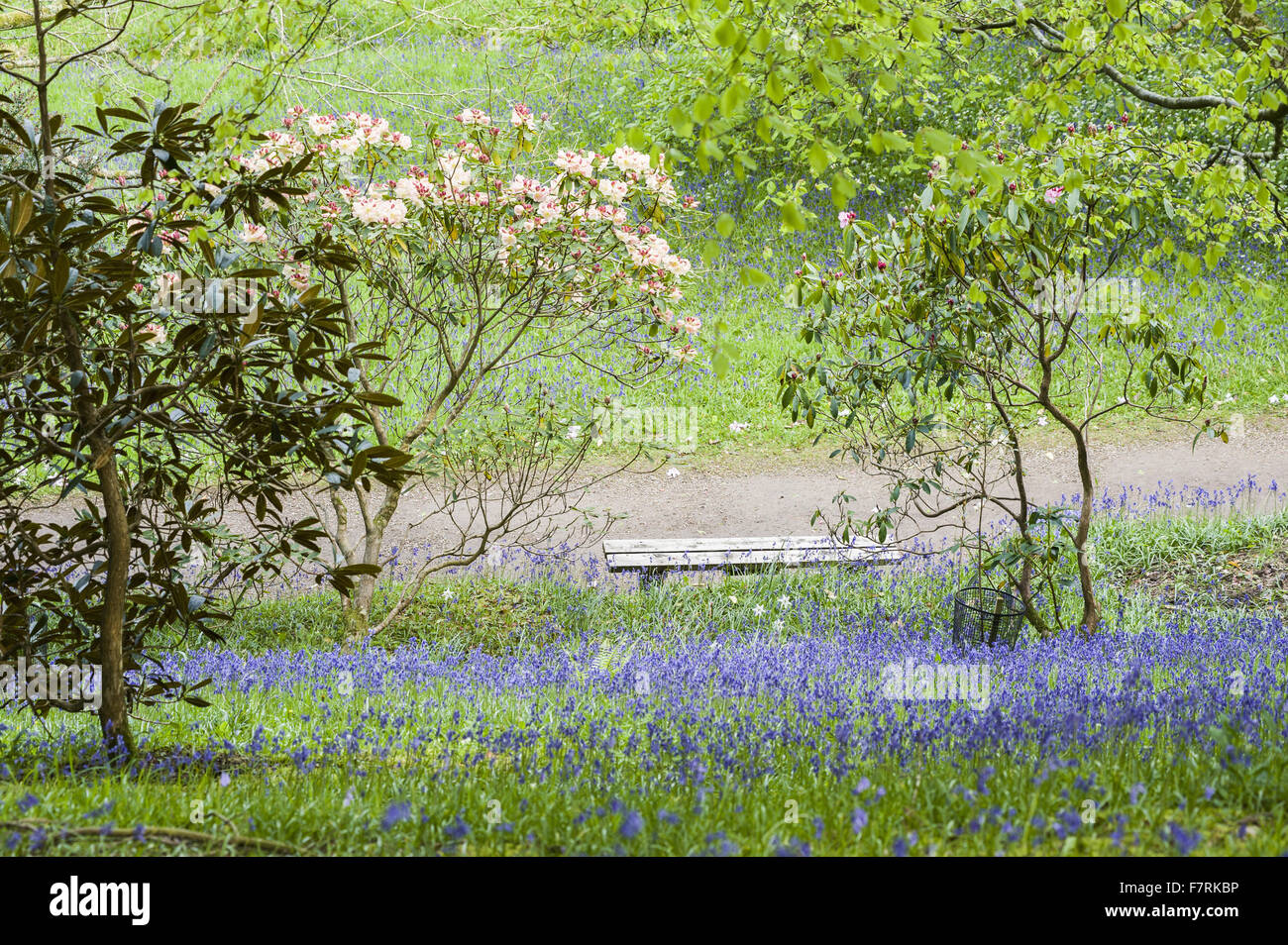 Quakers 1800s hi-res stock photography and images - Alamy