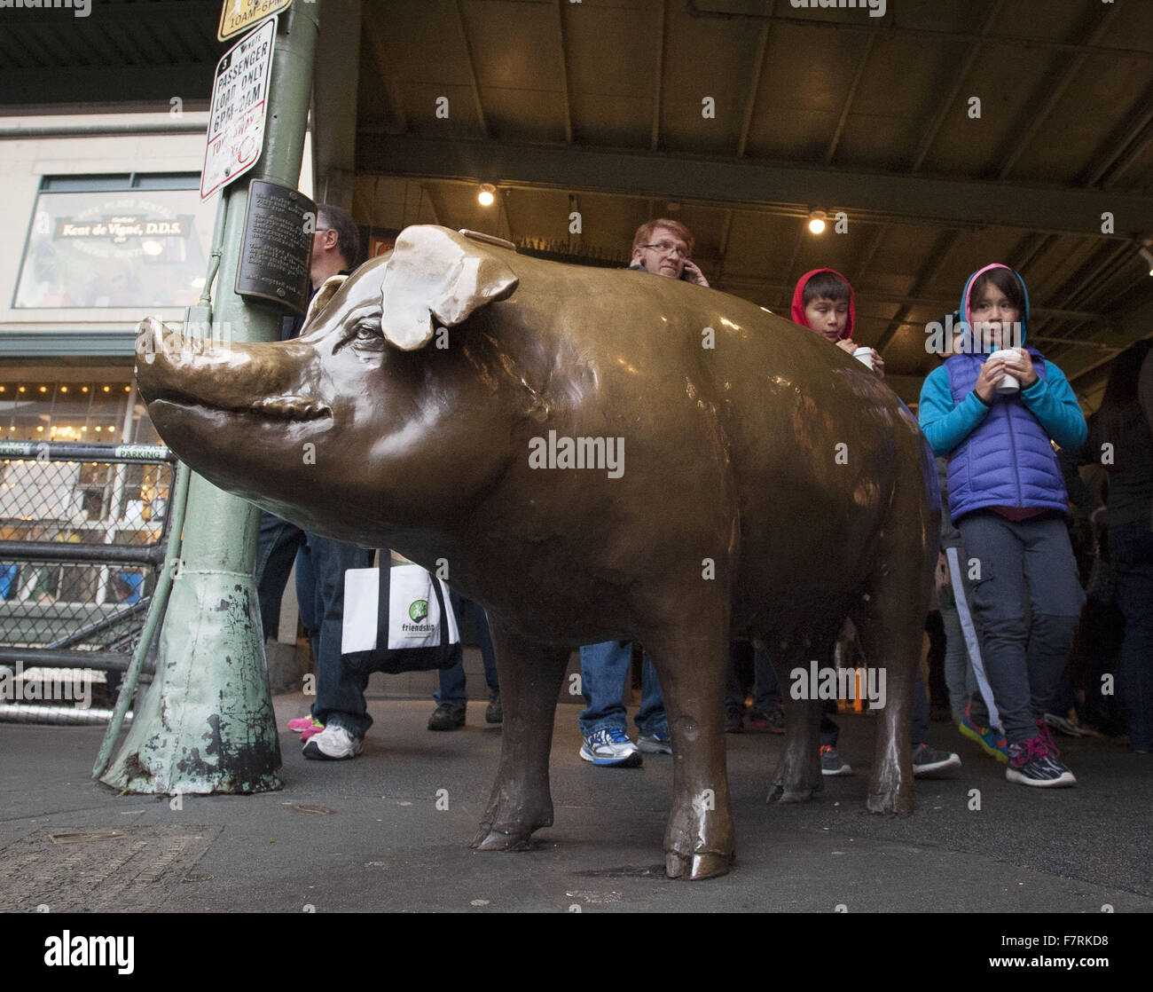 Rachel the pig hi-res stock photography and images - Alamy