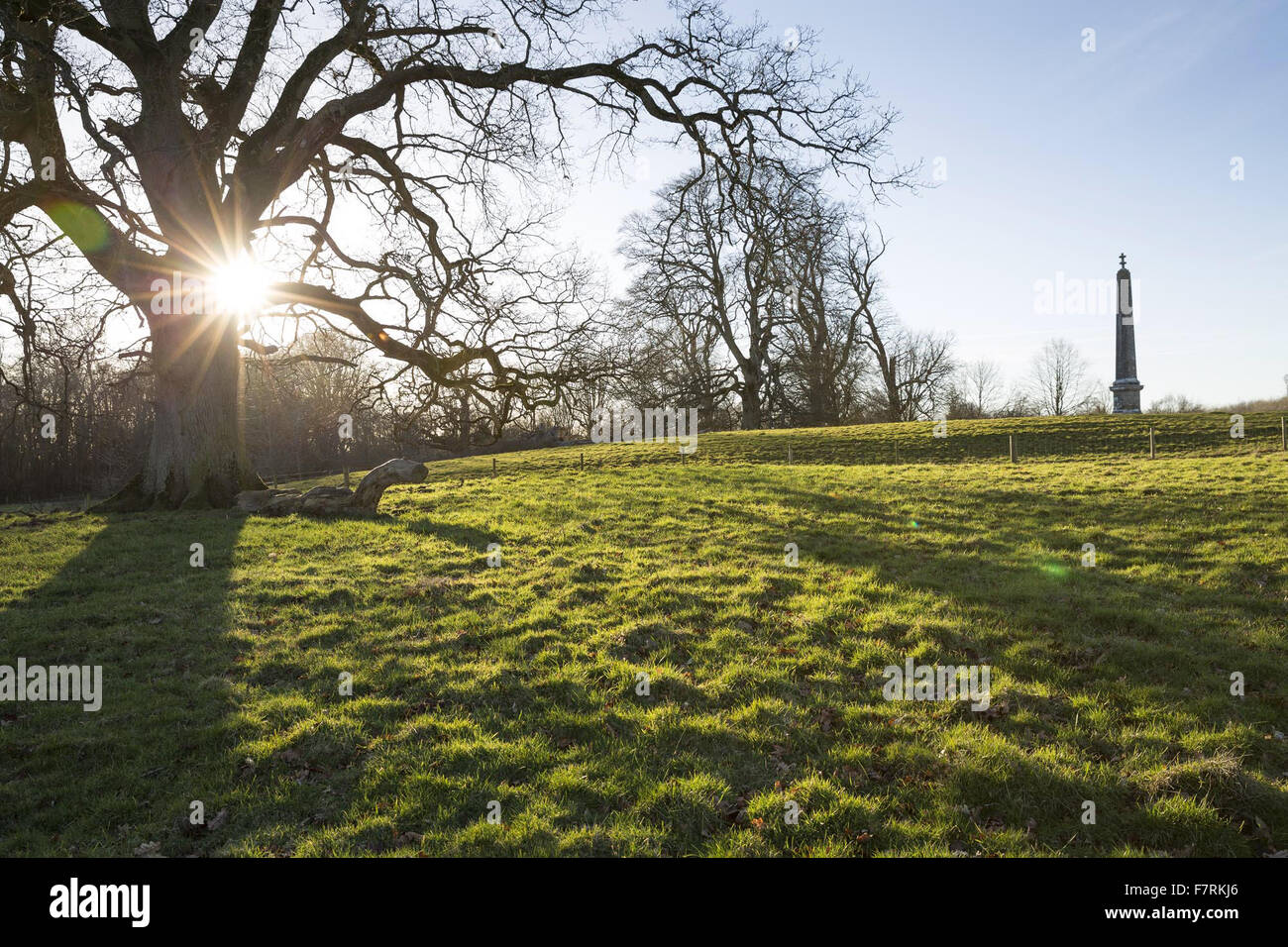 Kingston lacy obelisk hi-res stock photography and images - Alamy