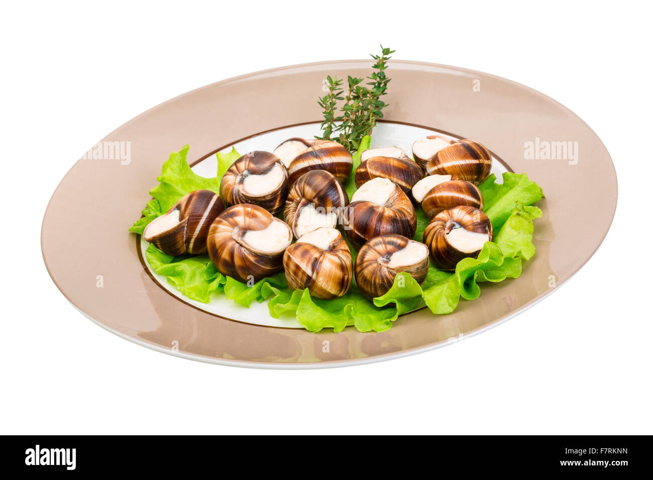 Escargot with cheese sauce Stock Photo - Alamy