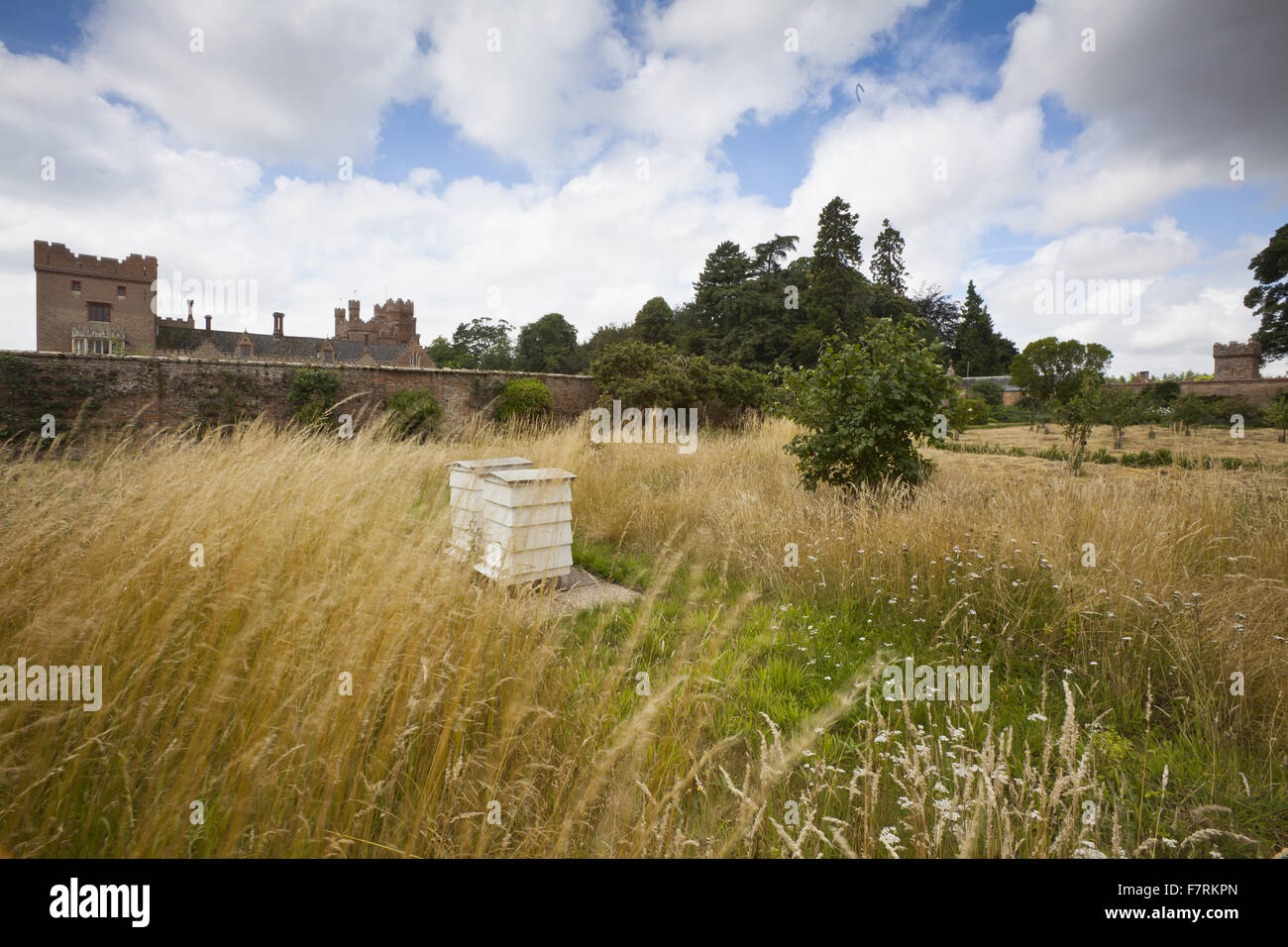 Beekeeeping at Oxburgh Hall, Norfolk. Oxburgh was built in 1482 by the ...