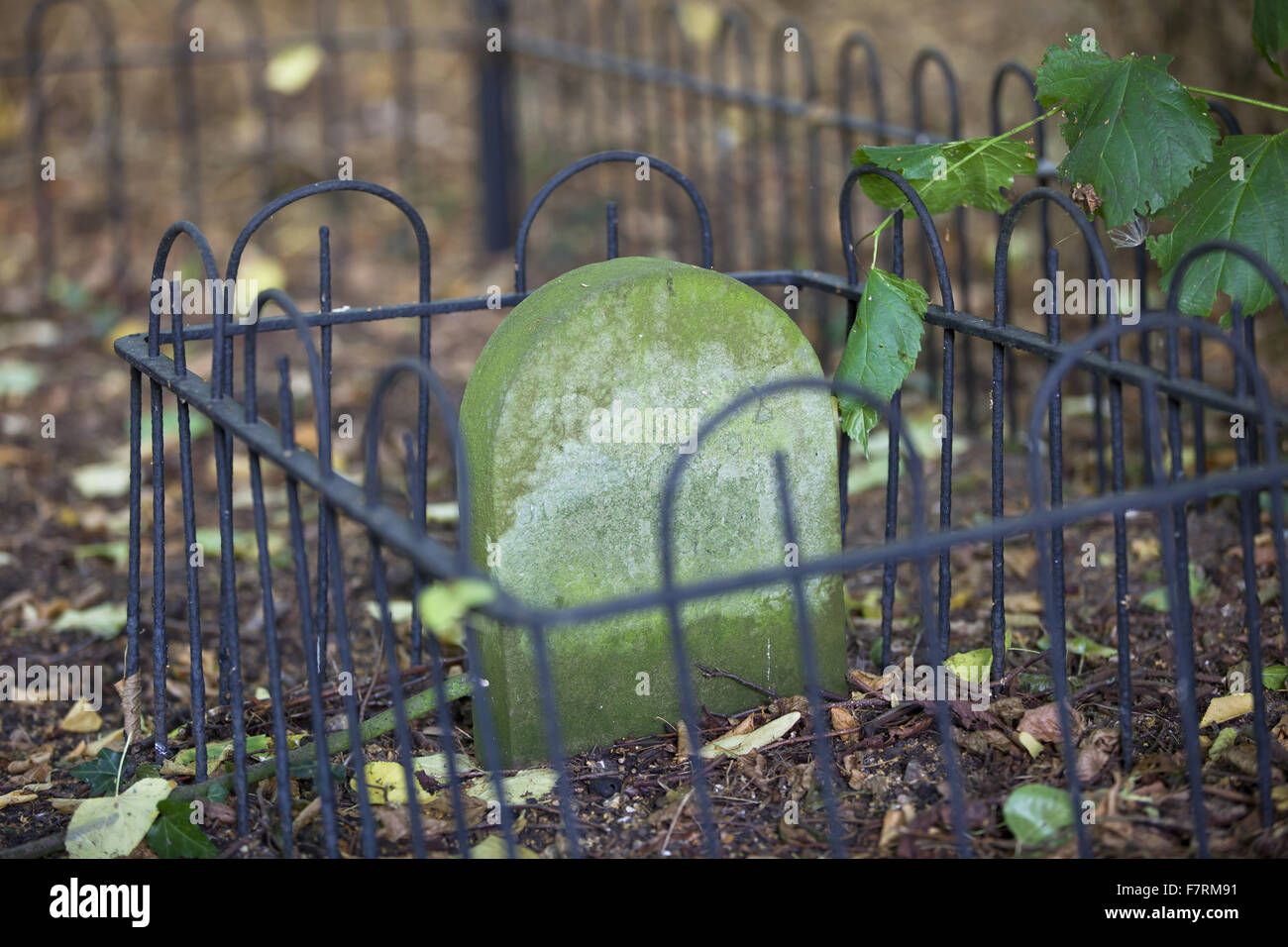 The Wilderness pet cemetery at Oxburgh Hall, Norfolk. Oxburgh was built ...