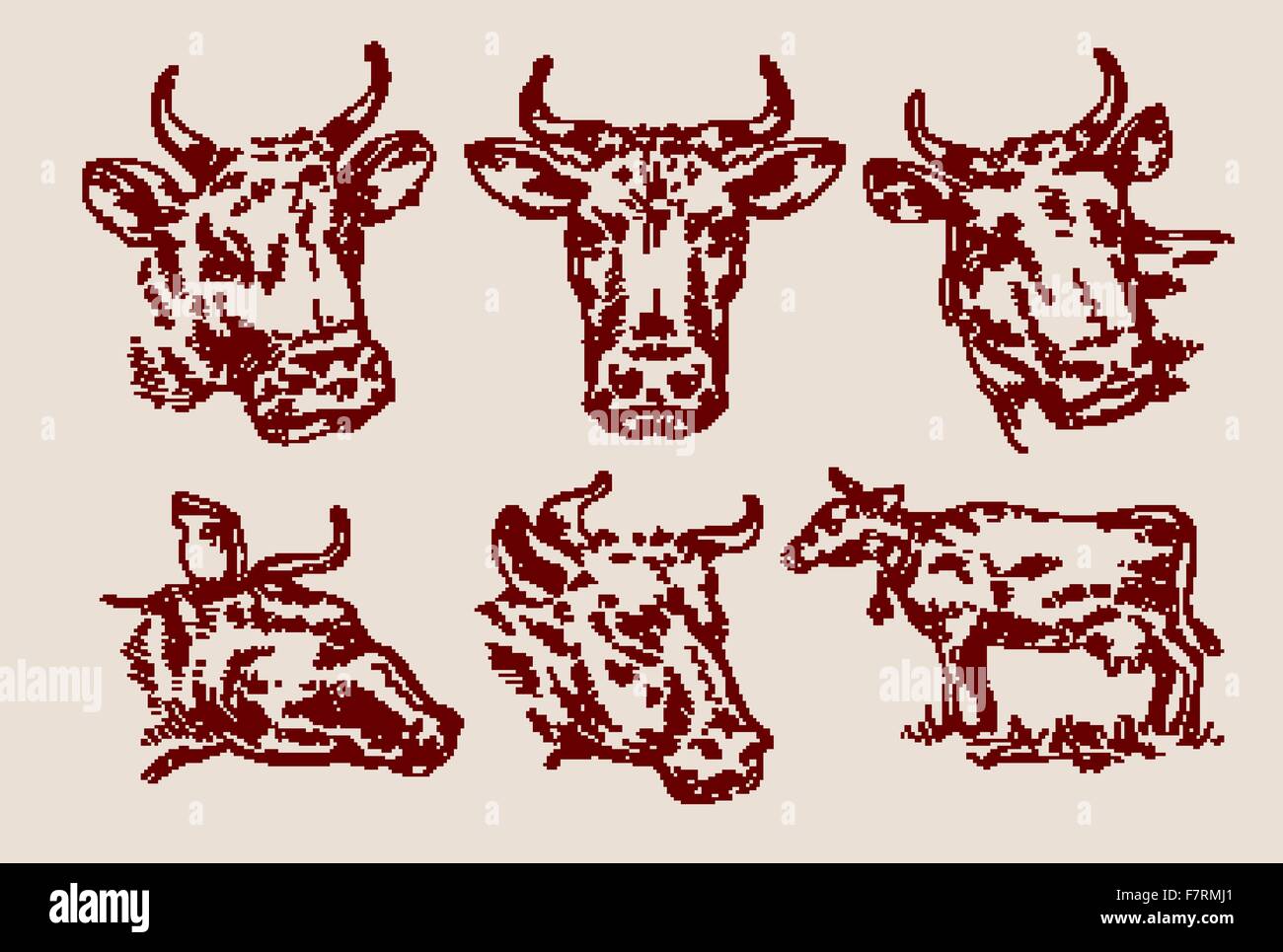 Bull sketch hi-res stock photography and images - Alamy