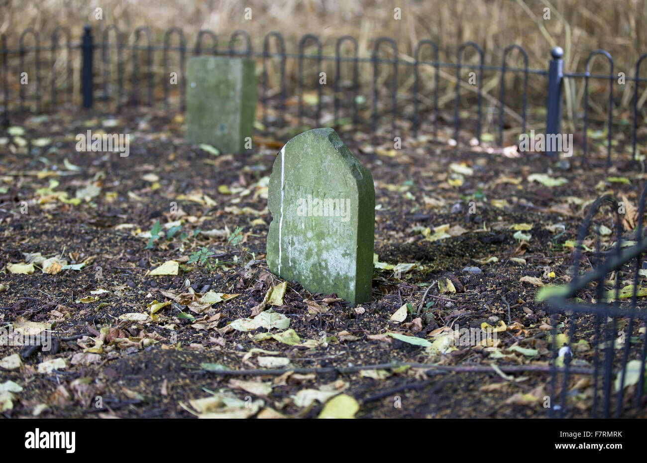 The Wilderness pet cemetery at Oxburgh Hall, Norfolk. Oxburgh was built ...