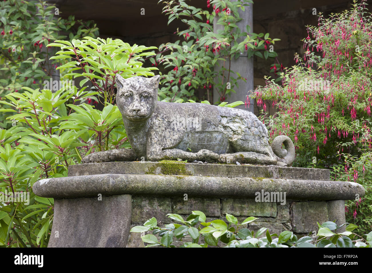 Dodo garden sculpture hi-res stock photography and images - Alamy