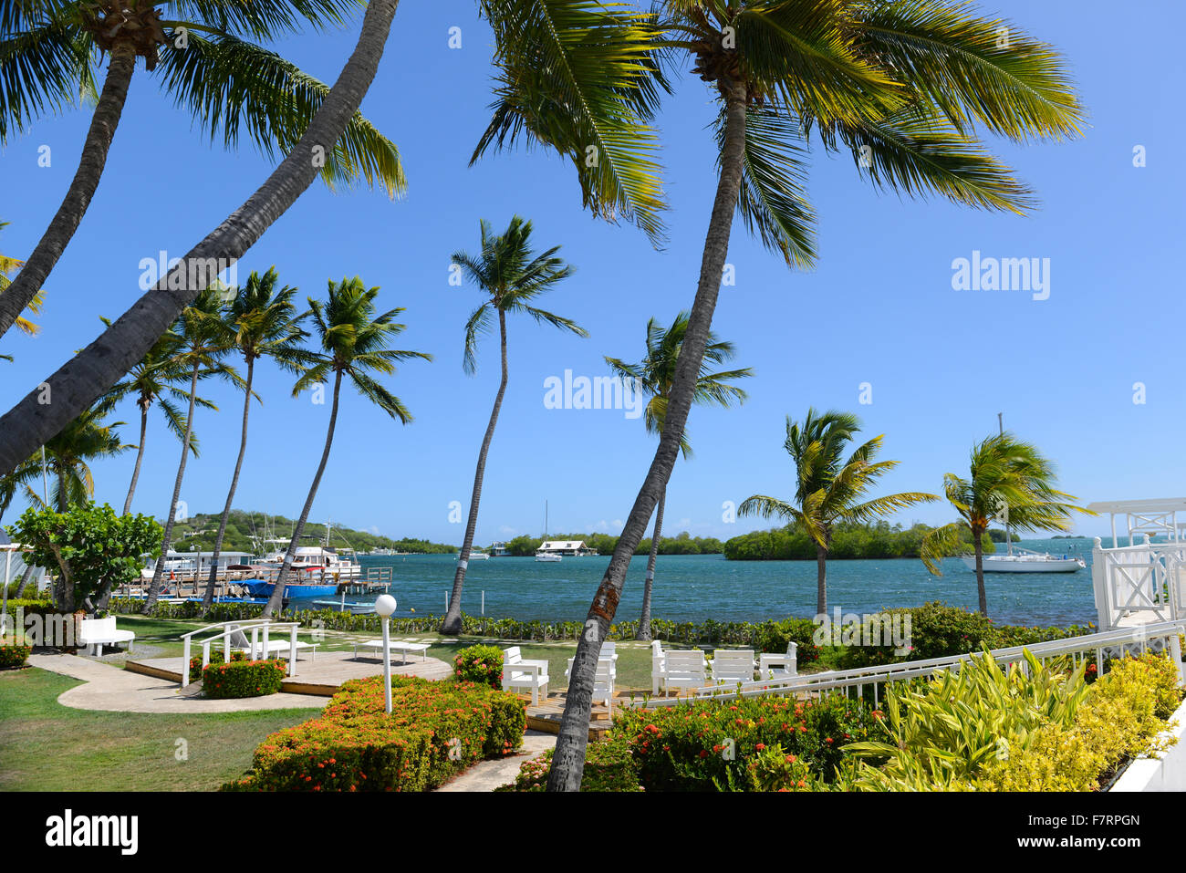 View of La Parguera. Lajas, Puerto Rico. Caribbean Island. USA ...