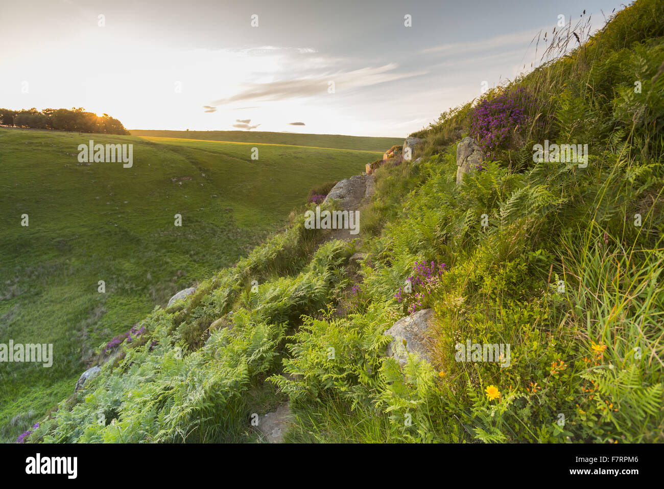 Hadrian's Wall and Housesteads Fort, Northumberland. This is one of the ...