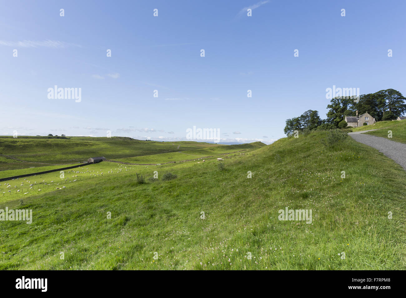 Hadrian's Wall and Housesteads Fort, Northumberland. This is one of the ...