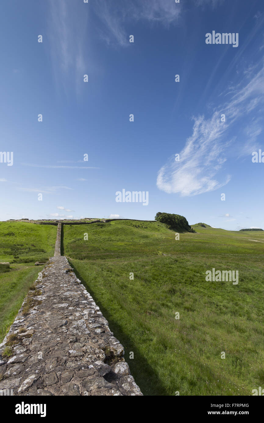 Hadrian's Wall and Housesteads Fort, Northumberland. This is one of the ...
