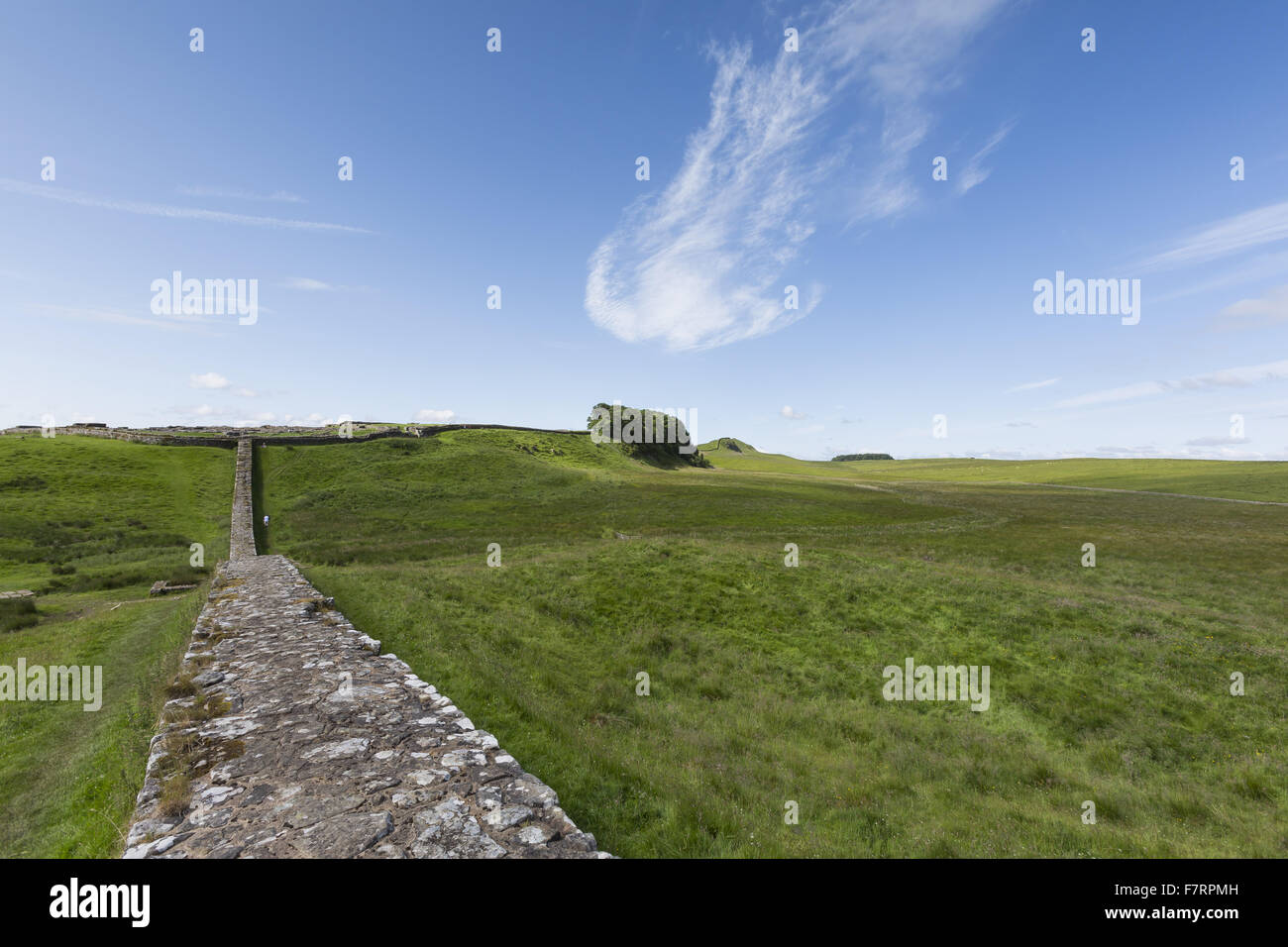 Hadrian's Wall and Housesteads Fort, Northumberland. This is one of the ...