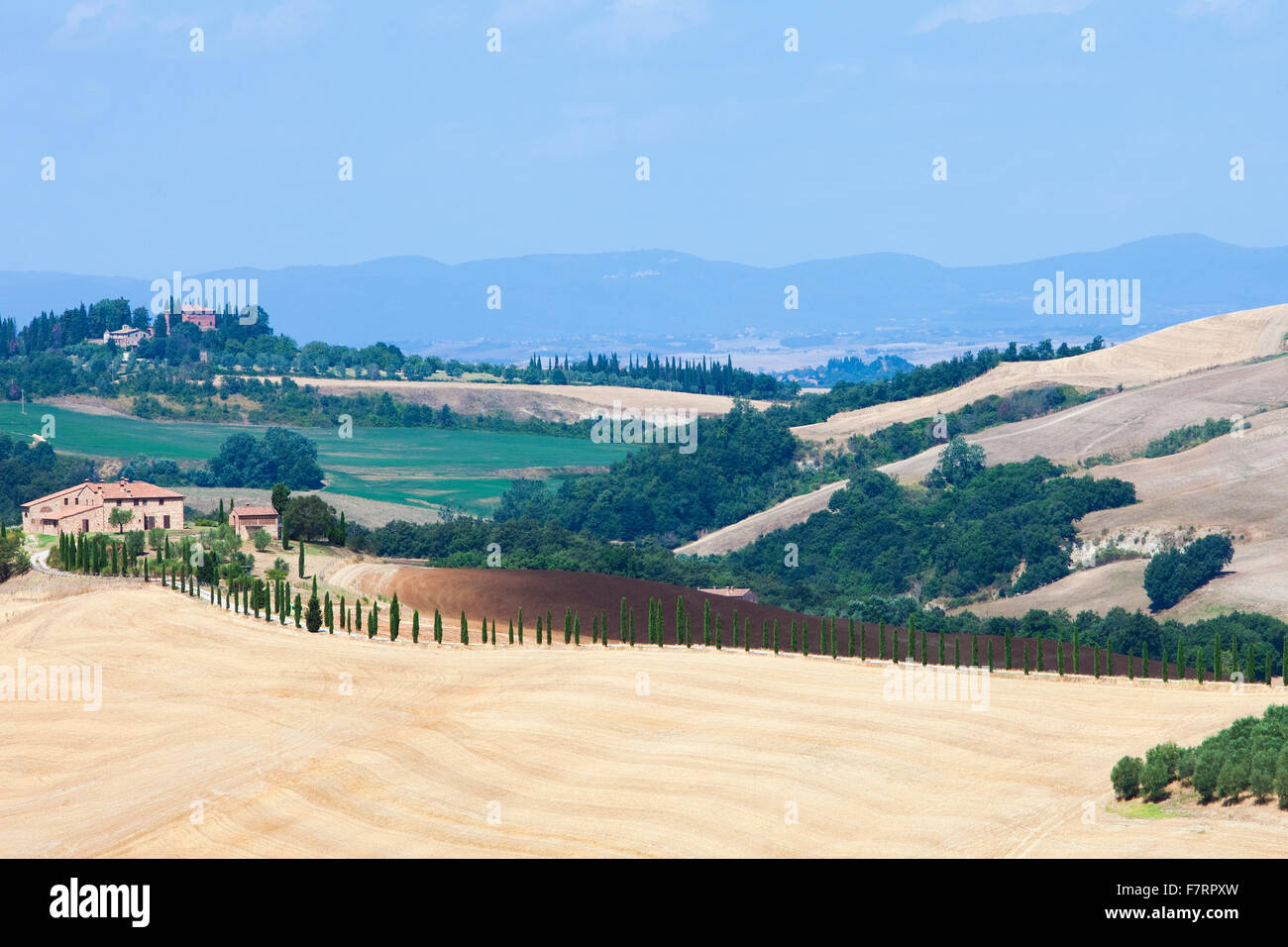 Italy Tuscany Le Crete - Farmhouse and Cypress Trees Stock Photo - Alamy