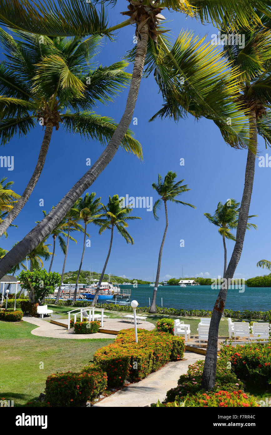 View of La Parguera. Lajas, Puerto Rico. Caribbean Island. USA ...