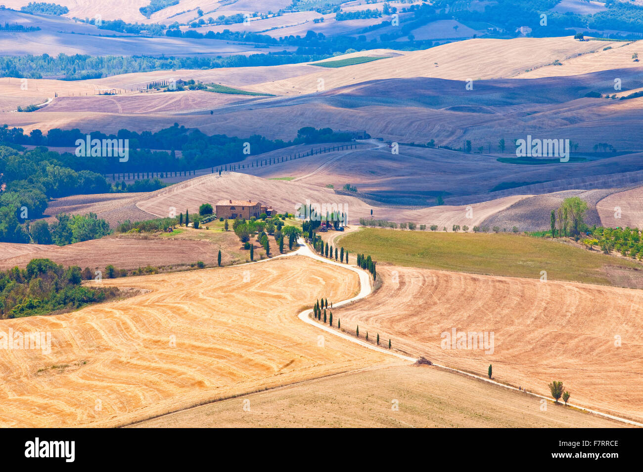 Italy Tuscany Le Crete - Farmhouse and Cypress Trees Stock Photo - Alamy