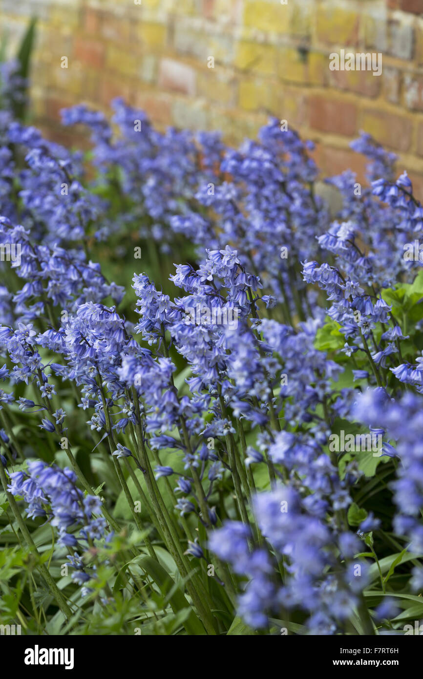 Farnborough library hi-res stock photography and images - Alamy