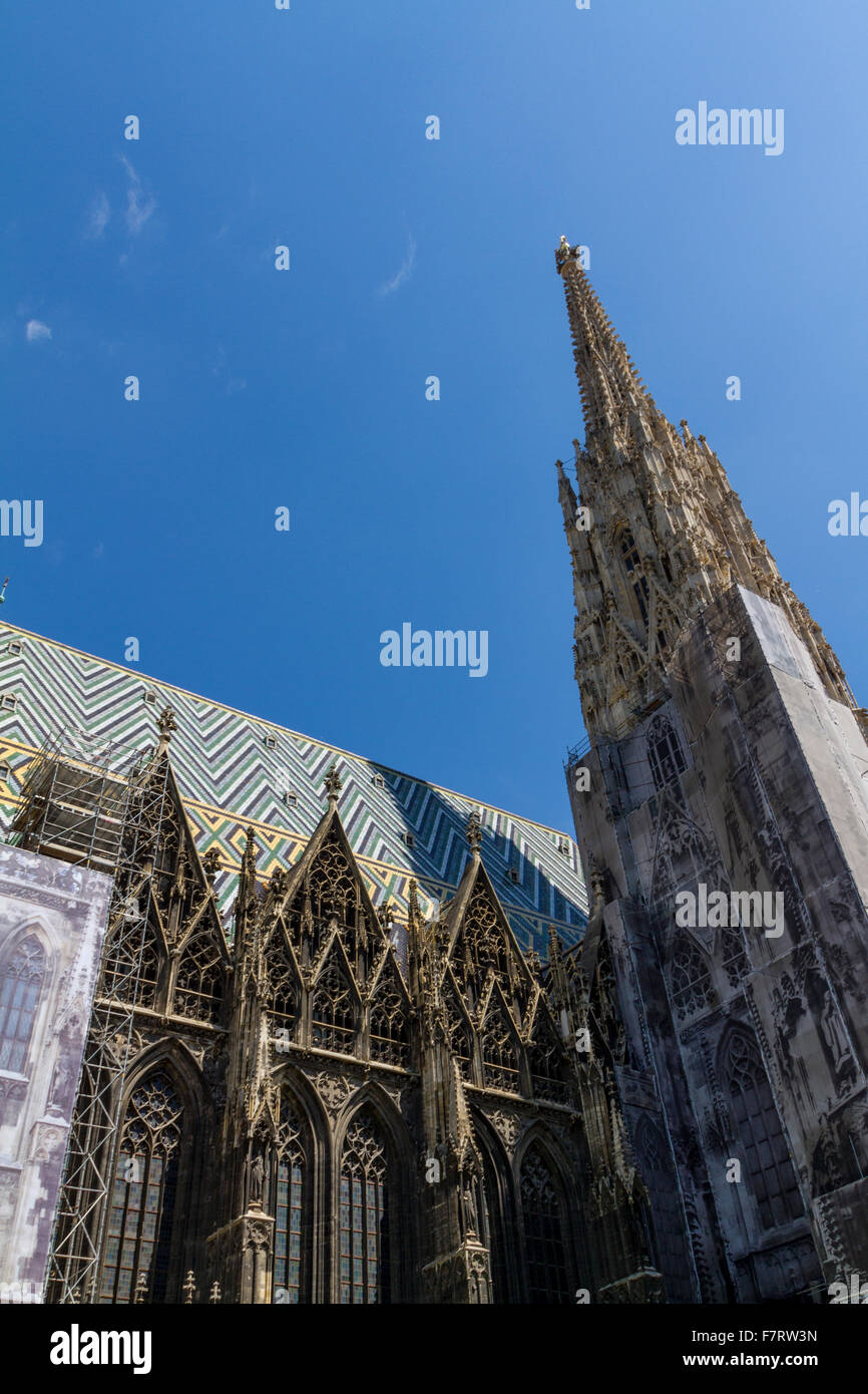 St. Stephan cathedral in center of Vienna, Austria Stock Photo - Alamy