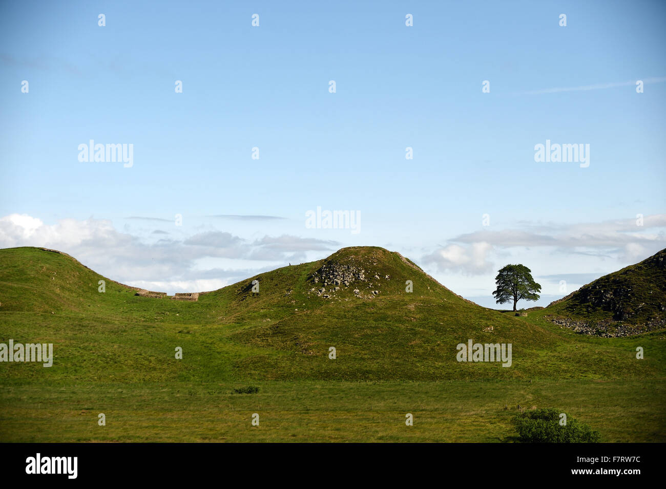 Hadrian's Wall and Housesteads Fort, Northumberland. This is one of the ...