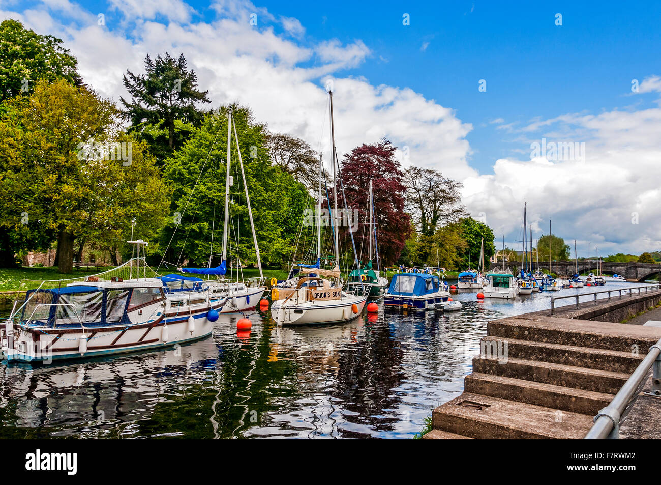 Pleasure boats moored on the River Dart between a row of colourful ...