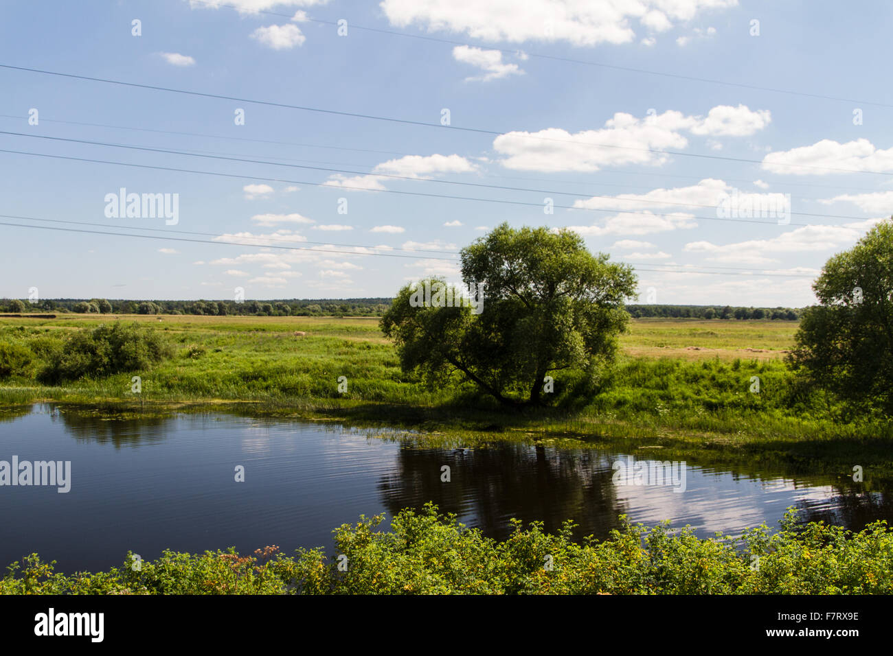 European Summer River Landscape (Russia Stock Photo - Alamy