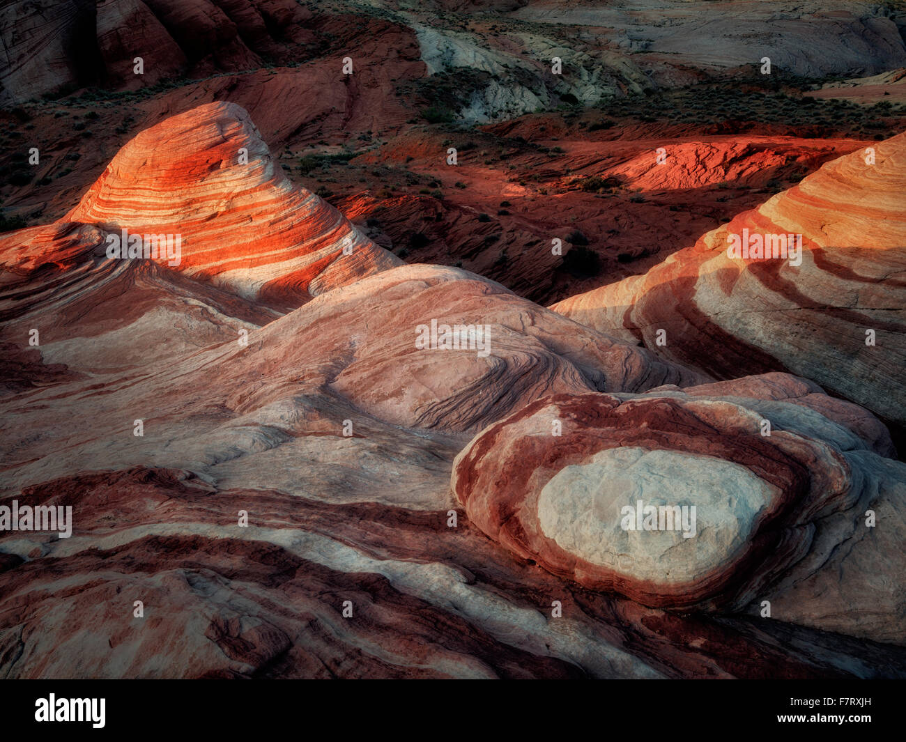 The Fire Wave at first light. Valley of fire State Park, Nevada Stock ...