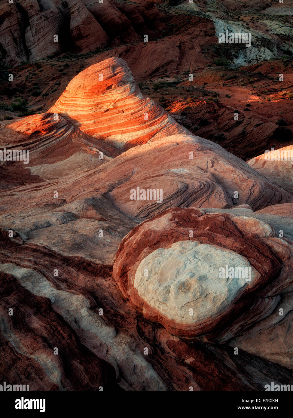 The Fire Wave at first light. Valley of fire State Park, Nevada Stock Photo - Alamy
