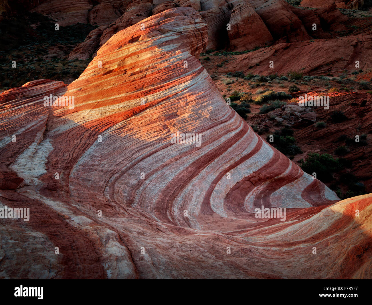 The Fire Wave at first light. Valley of fire State Park, Nevada Stock Photo - Alamy