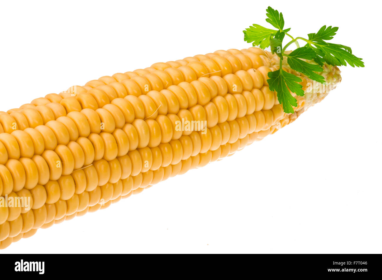 Ripe bright corn isolated Stock Photo - Alamy
