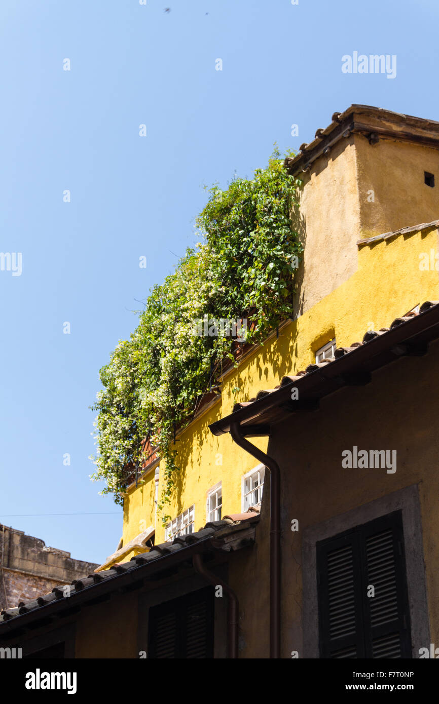 Trastevere District, Rome Stock Photo - Alamy