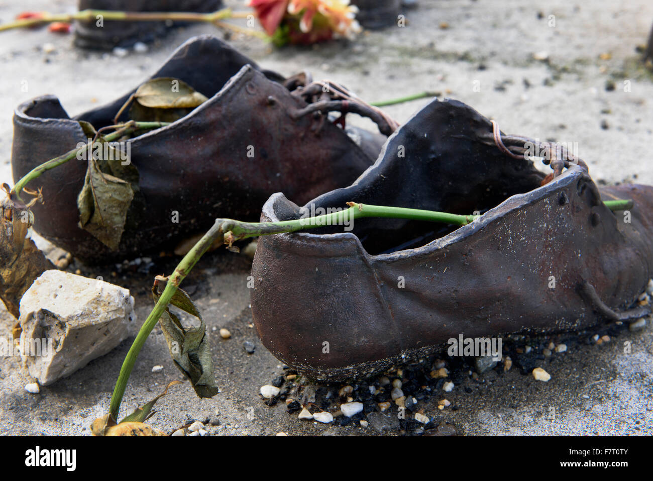 Gyula pauer hi-res stock photography and images - Alamy