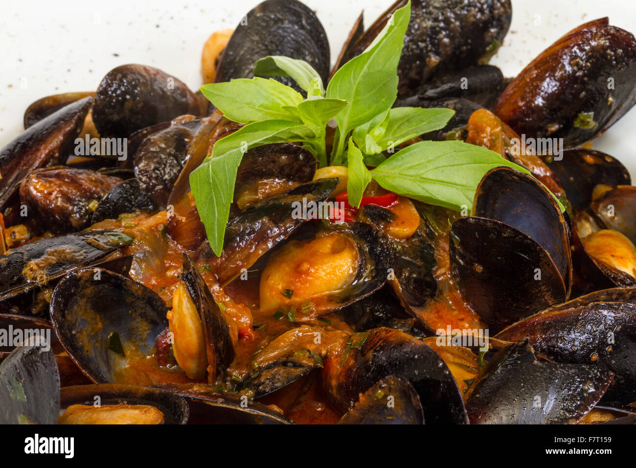close up on mussels on white background Stock Photo - Alamy