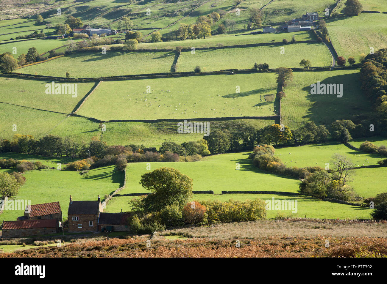 Danby Dale in October, North York Moors National Park Stock Photo - Alamy