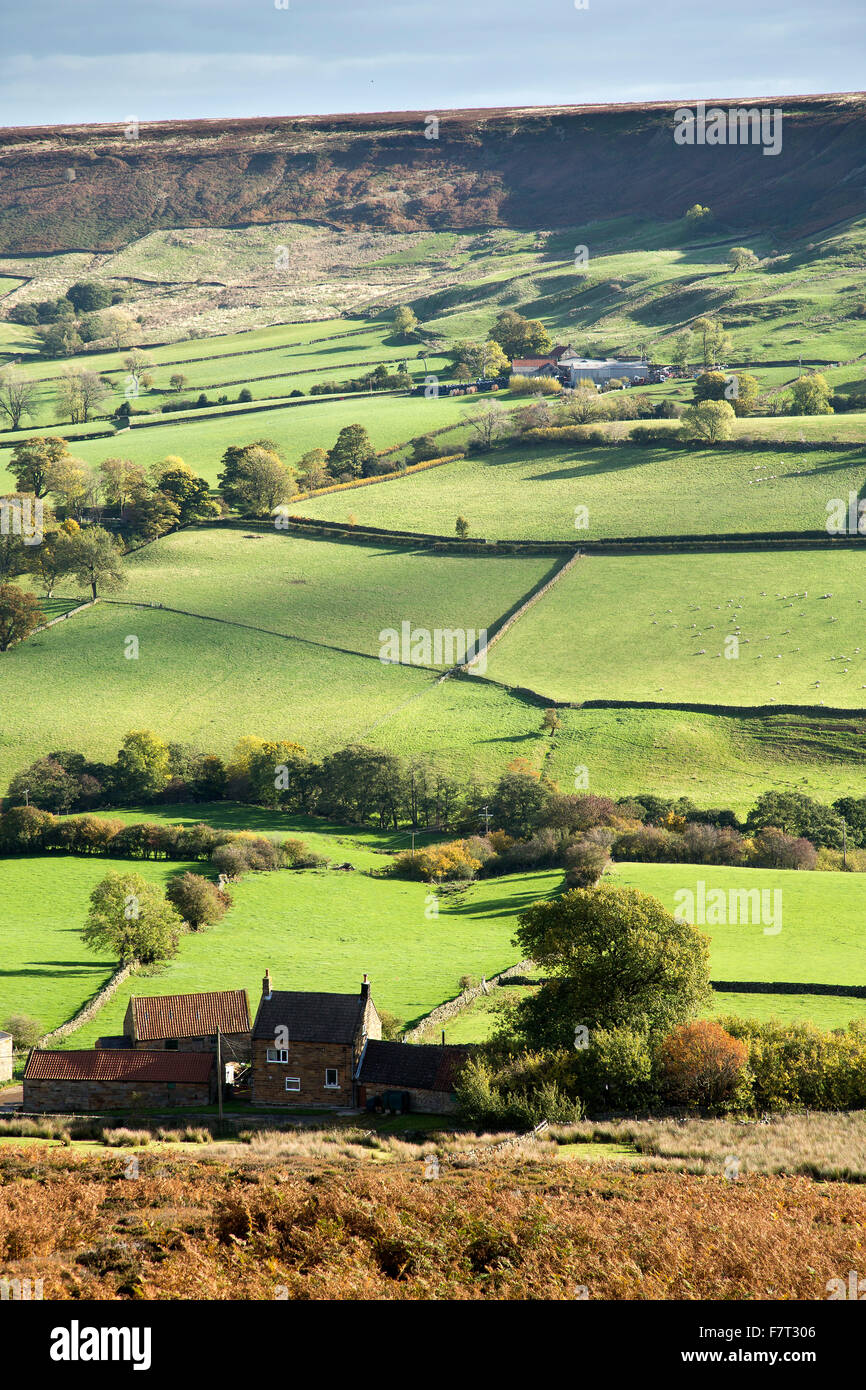 Danby Dale in October, North York Moors National Park Stock Photo - Alamy