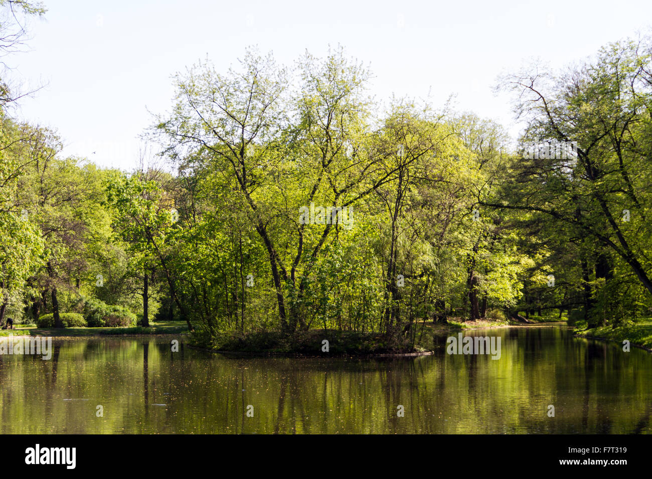 summer park, trees Stock Photo - Alamy